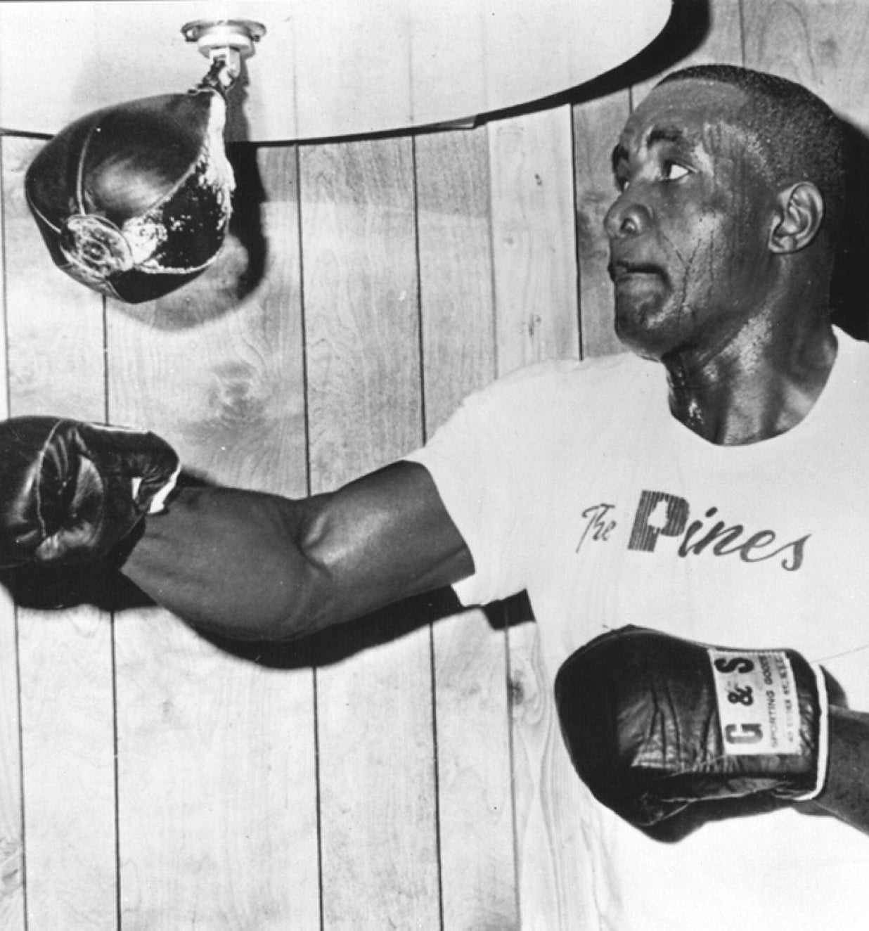 G&S Fight Supply Co. I Athletic Gear and Apparel for Fight Sports